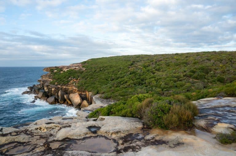 A Quick Guide to The Great Ocean Walk | Great Ocean Road Guide